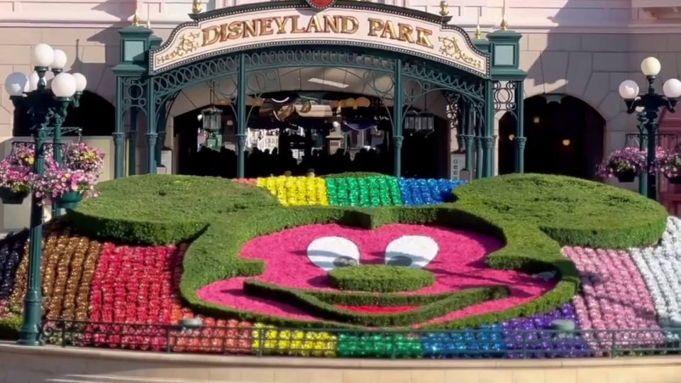 Le Mickey floral arbore les couleurs de la Diversité en ce mois des ...