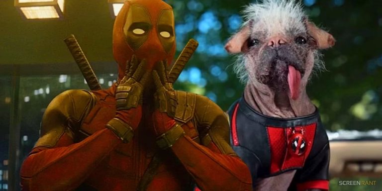 Ryan Reynolds présente Dogpool, le chien de Deadpool | Disneyphile