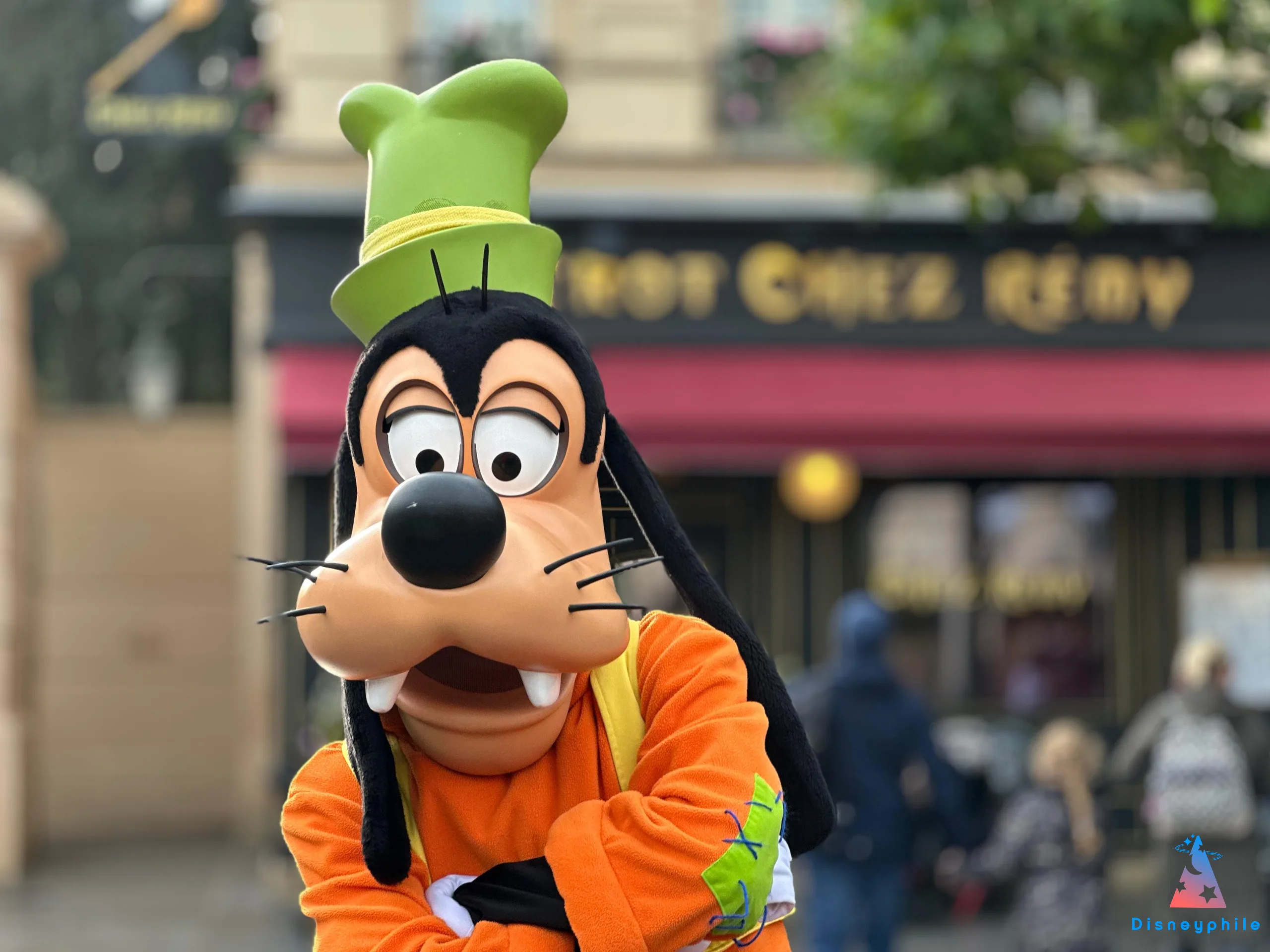 Dingo rencontre les visiteurs... sur la Place de Rémy ?! | Disneyphile
